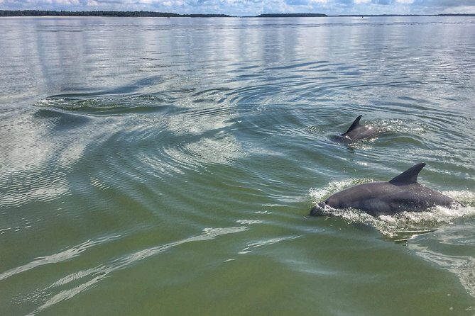 Private Hilton Head Sunset Dolphin Tour - A Breakdown of the Itinerary & Stops