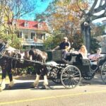 Private Historic Horse & Carriage Tour of Charleston - An In-Depth Look at the Charleston Horse & Carriage Tour