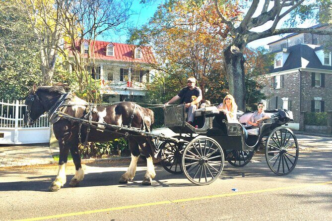 Private Historic Horse & Carriage Tour of Charleston - An In-Depth Look at the Charleston Horse & Carriage Tour