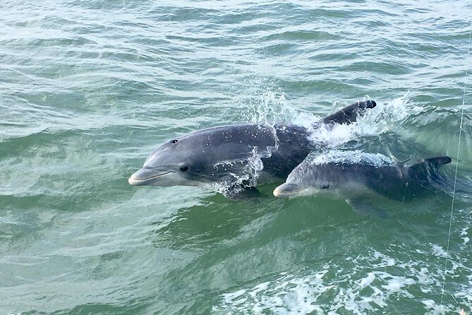 Private Historical Wildlife and Dolphin Cruise South Padre Island - The Historical and Cultural Narrative