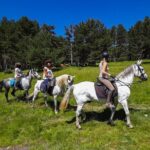 Private Horse Ride in Madrid natural park reserve - Pricing and Value: Is It Worth It?