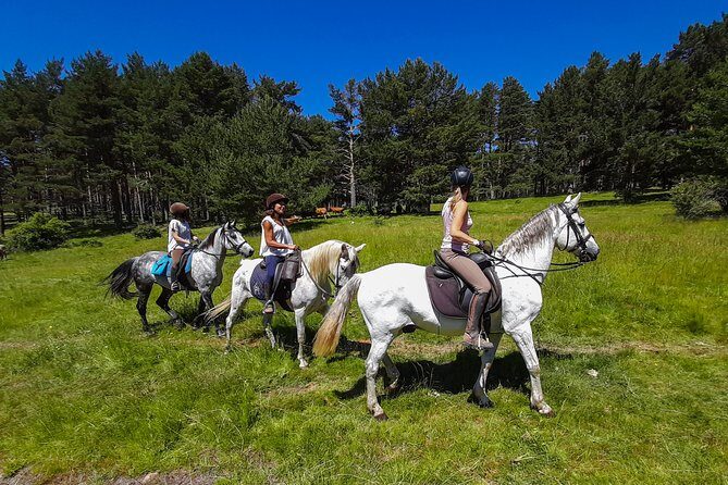 Private Horse Ride in Madrid natural park reserve - Pricing and Value: Is It Worth It?