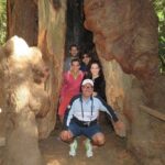 Private Horseback Riding and Muir Woods Adventure from San Francisco - Detailed Itinerary Breakdown
