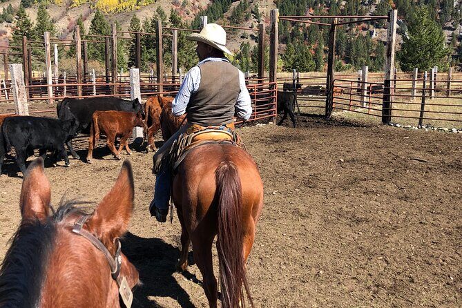 Private Horseback Riding in Wyoming - The Cost and Value