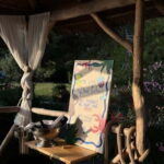 Private Island Escape: A Sunset Painting & Wine Experience - The Value of This Experience