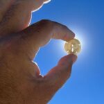 Private Island Paradise: Dolphin, Shelling, Birding Eco Boat Tour - Considerations & Tips for Travelers