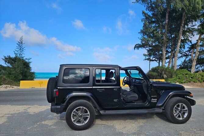 Private Jeep Tour of Oahu's Best Hidden Gems - What Travelers Are Saying & The Experience’s Value