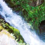 Private Jungle Waterfall Adventure, Wit Da Native Hawaiian Dundee - The Itinerary: A Step-by-Step Breakdown