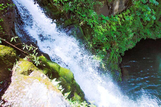 Private Jungle Waterfall Adventure, Wit Da Native Hawaiian Dundee - The Itinerary: A Step-by-Step Breakdown