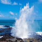 Private Kauai Island Tour - Featuring Waimea & Kokee State Parks - Why the Tour is a Great Deal