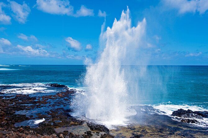 Private Kauai Island Tour - Featuring Waimea & Kokee State Parks - Why the Tour is a Great Deal