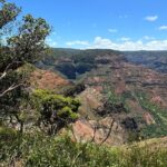 Private Kauai Island Tour : Waimea Canyon, Kalalau Lookout + More - A Closer Look at the Itinerary