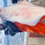 Private Ketchikan Halibut and Salmon Fishing Charter - The Experience: The Day in the Life