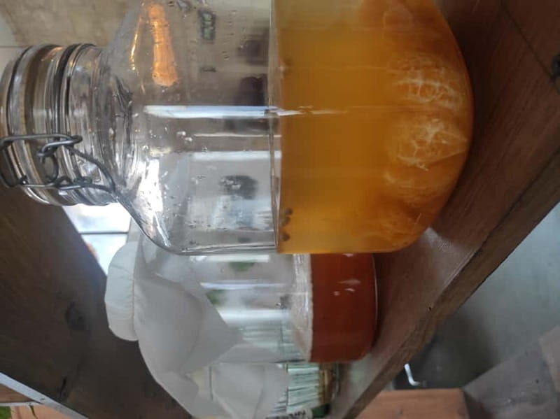 Private Kombucha Making Workshop in Cyprus - The Experience of Brewing Your Own Kombucha