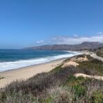 Private LA Coast Tour with Beach Day or Scenic Hike - Who Will Love This Tour?
