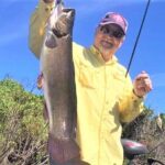 Private Lake Istokpoga Bass Fishing Charter in Sebring - Exploring Lake Istokpoga: Setting and Wildlife