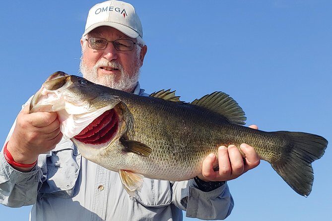Private Lake Tohopekaliga Fishing Charter near Orlando - What the Reviews Say
