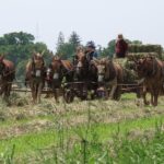 Private Lancaster County Amish Tour from Philadelphia - Who Should Consider This Tour?
