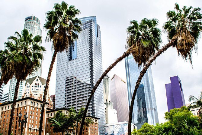 Private Layover Los Angeles Tour with Pickup from LAX - Santa Monica, Venice - Who Is This Tour Best For?