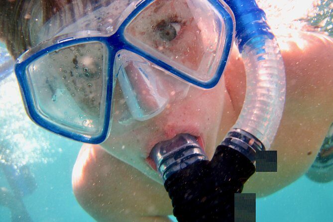 Private Looe Key Snorkel from Big Pine Key - The Value of a Private Snorkeling Trip