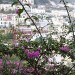 Private Luxury Amalfi Coast Full Day Tour - The Practical Side: What to Expect