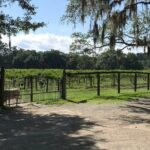 Private Luxury Chauffeured Transportation to & from Distilleries, Breweries - Who Will Love This Tour?