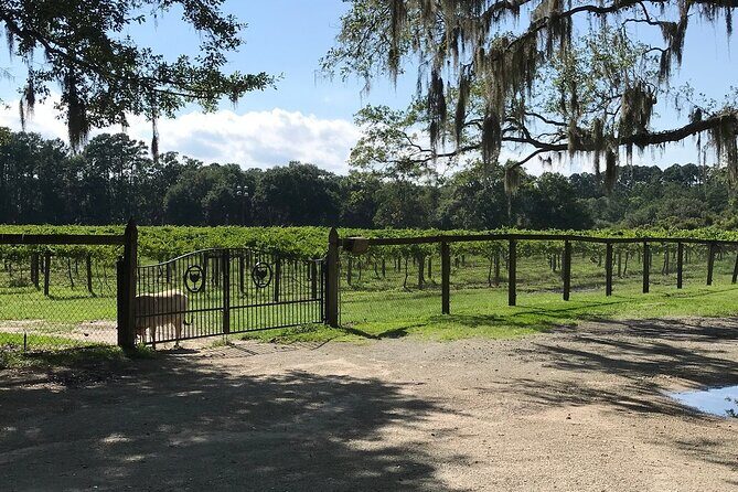 Private Luxury Chauffeured Transportation to & from Distilleries, Breweries - Who Will Love This Tour?