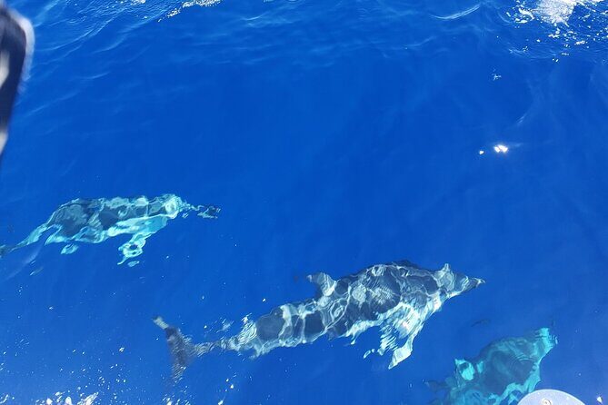 Private Luxury Sailboat Charters of Honolulu - Why Choose a Private Sailboat in Honolulu?