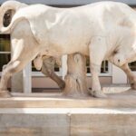 Private Luxury Tour: Mystic Pilgrimage - Kerameikos to Eleusis - Transportation & Logistics
