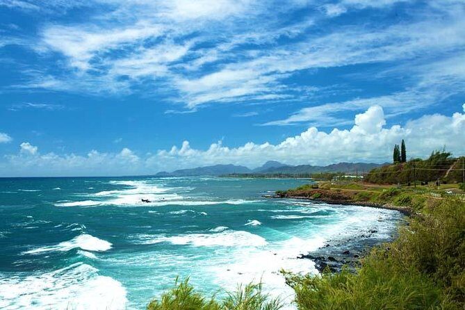 Private Luxury Tour of Kauai: North & East Shores - The Value and Experience of a Private Tour