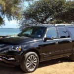 Private Luxury Tour of Kauai: South & West Shores - Who Is This Tour Best For?