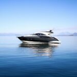 Private Luxury Whale Watch - The Itinerary in Detail