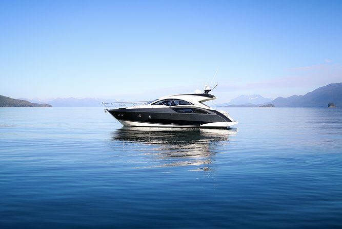 Private Luxury Whale Watch - The Itinerary in Detail