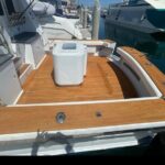 Private Luxury Whale Watching Tour in San Diego - Comfort and Convenience Onboard