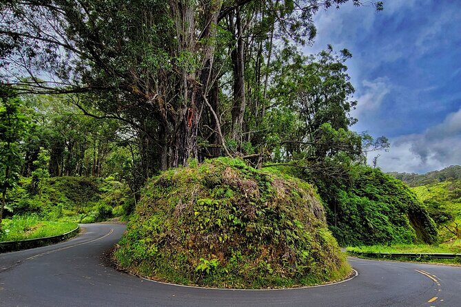 Private Maui Redwood Hiking Experience - Value and Price: Is It Worth It?