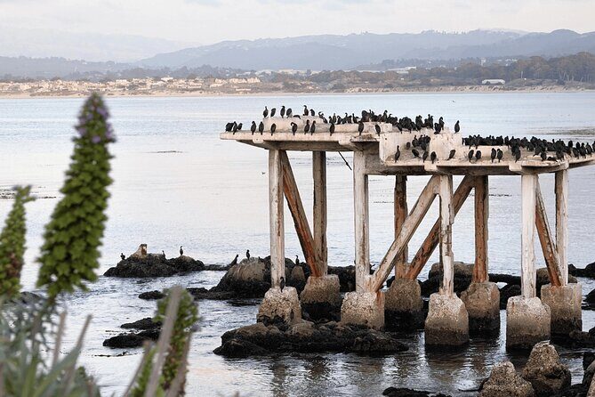 Private Monterey, Carmel and 17-Mile Drive Day Trip from San Francisco - What Travelers Can Expect from the Itinerary