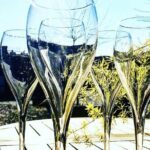 Private Montserrat Tour, Organic Winery & Authentic Local Lunch - Tasting Catalonia: Market Visit and Lunch