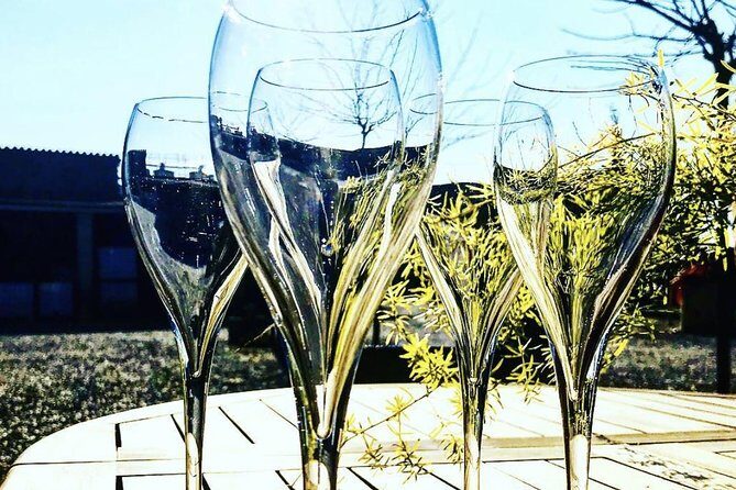 Private Montserrat Tour, Organic Winery & Authentic Local Lunch - Tasting Catalonia: Market Visit and Lunch