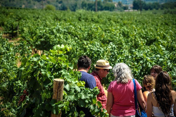 Private Montserrat with Wine Tasting Full Day Trip from Barcelona - Lunch and Additional Activities