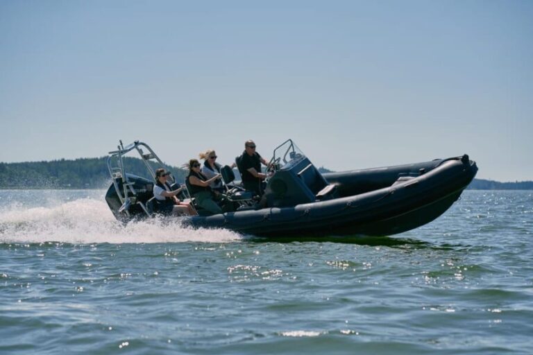 Private morning boat tour to the Airisto - Who Should Consider This Tour?