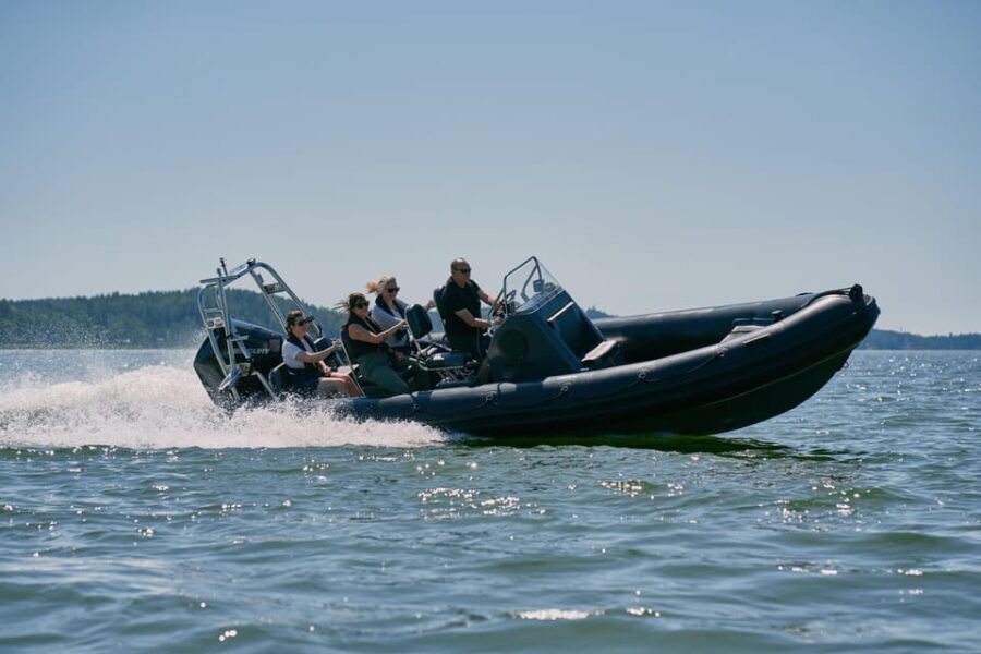 Private morning boat tour to the Airisto - Who Should Consider This Tour?