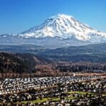 Private Mt Rainier National Park Tour in SUV - An In-Depth Look at the Tour Experience