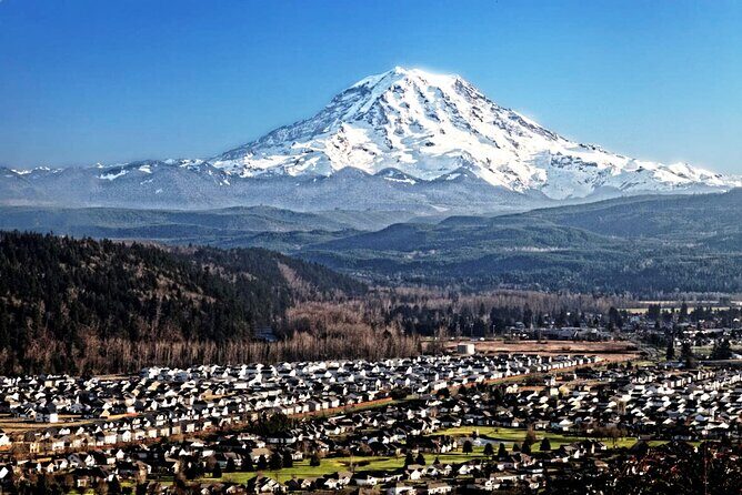Private Mt Rainier National Park Tour in SUV - An In-Depth Look at the Tour Experience