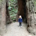 Private Muir Woods and Sausalito Half Day Tour - The Value of a Private Tour