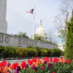 Private Multilingual DC City Tour (Spanish, Portuguese, English) - Final Thoughts