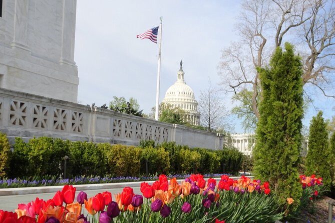 Private Multilingual DC City Tour (Spanish, Portuguese, English) - Final Thoughts