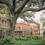 Private New Orleans City Tour - A Closer Look at the Itinerary
