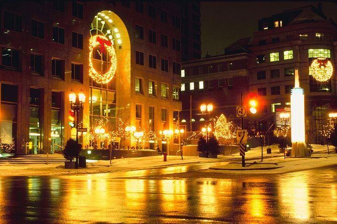 Private New York Christmas Tour with Driver and Guide - Is This Tour Worth the Price?