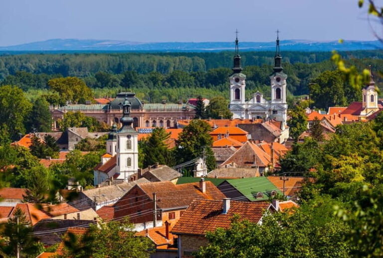 Private Novi Sad, Sremski Karlovci & Farmer's House - Why This Tour Offers Great Value