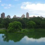 Private NYC Central Park 4 Hour Adventure Tour - Who Will Enjoy This Tour Most?